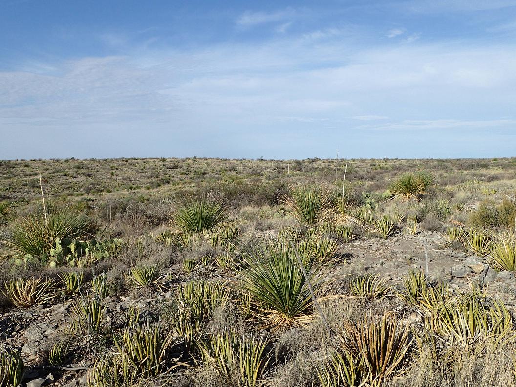 272.61 acres south of Sanderson