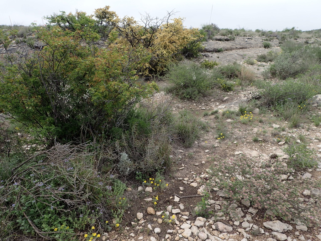 196.78 acres south of Sanderson